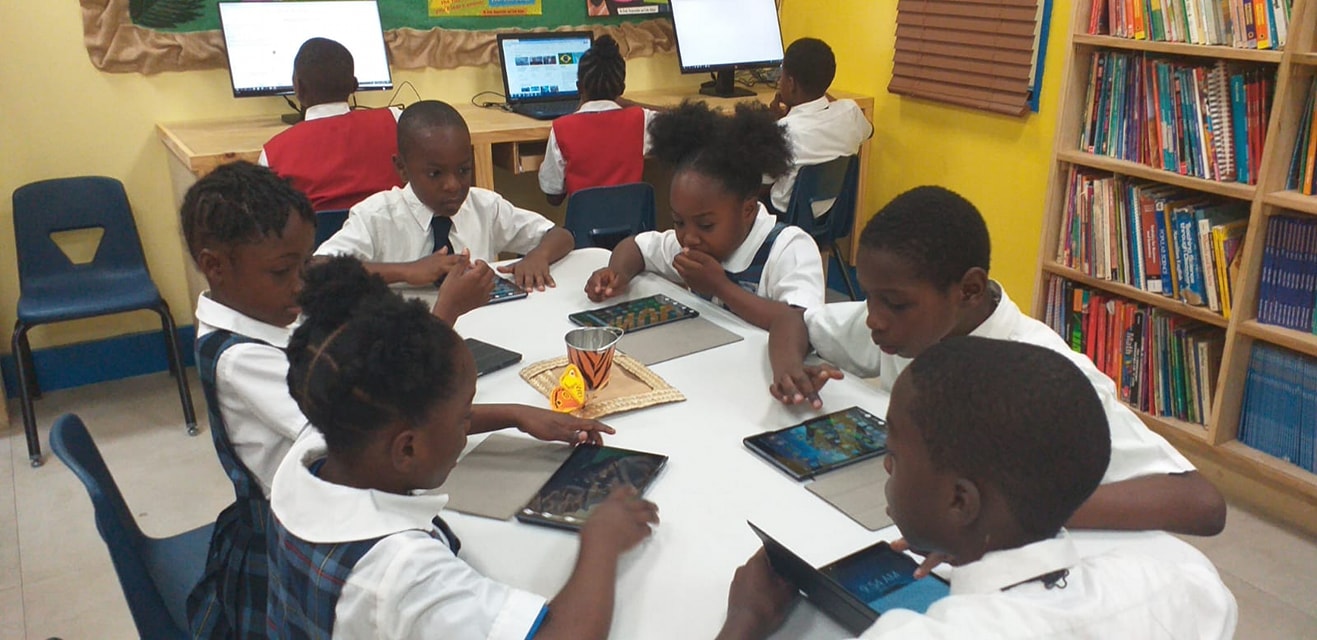 A newly transformed library was today opened at Stephen Dillet Primary ...